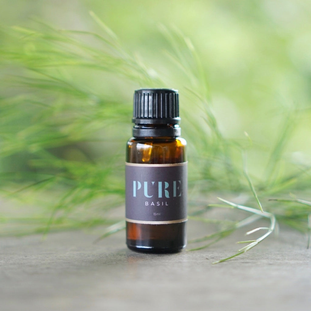 Basil Pure Essential Oil – Bath Origins